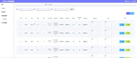 大学生入学审核系统，javavue，源码文档 Csdn博客