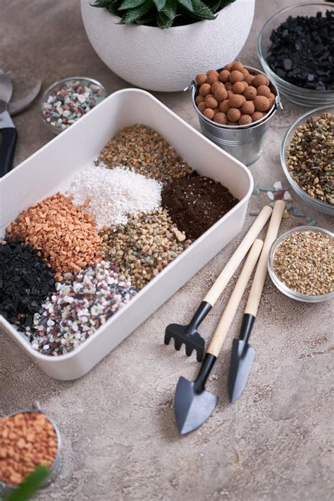 Plastic Box For Soil Substrate Preparation For Transplanting