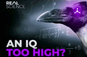 An Iq Too High Know Your Meme