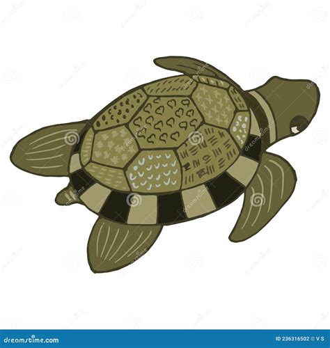 Hand Drawn Illustration Of A Cute Turtle With A Patterned Shell Design For Coloring Textiles