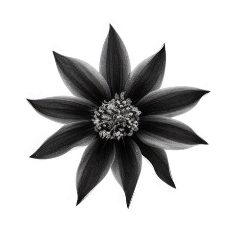 Premium Photo Yellow Candy