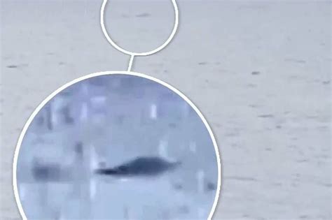 Loch Ness Monster Spotted In Unprecedented Video That Cant Be Anything Else