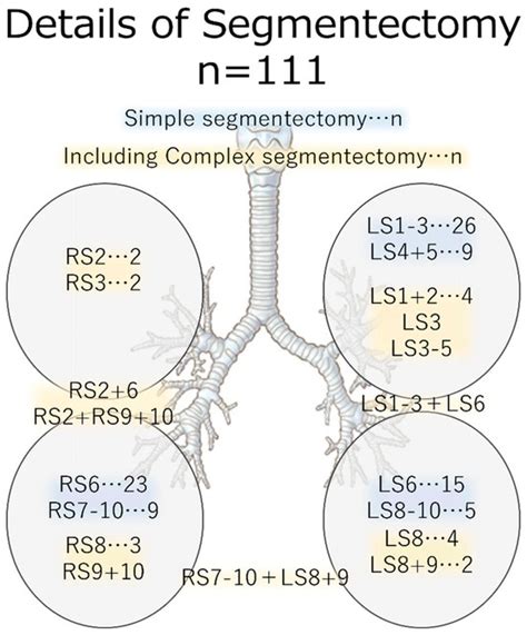 Influencing Factors On Intersegmental Identification Adequacy In