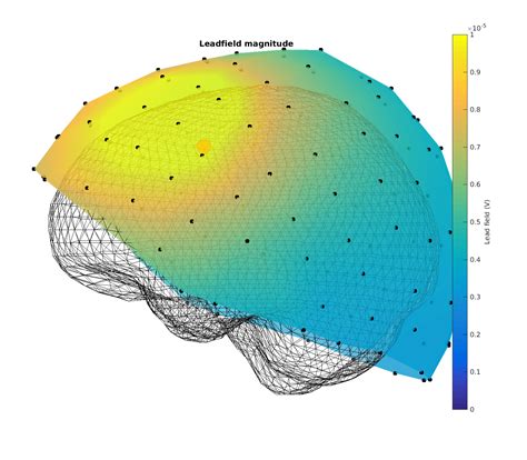 Forward Modeling For Eeg Source Reconstruction Fieldtrip Toolbox