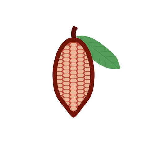 Cocoa Beans Flat Design Vector Illustration Vector Art At Vecteezy
