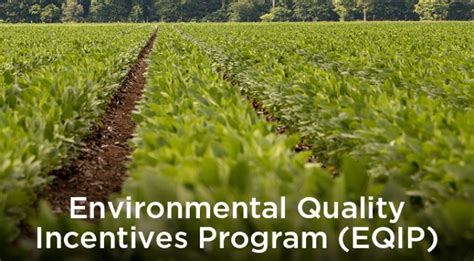 Nrcs Programs Helping With Disaster Recovery Efforts Southeast Agnet Nrcs Programs Helping With Disaster Recovery Efforts Southeast Agnet