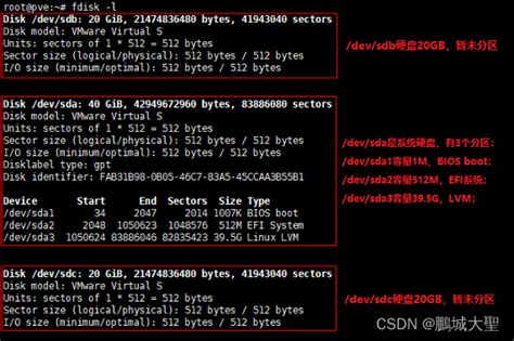 Proxmox Ve 70的高级安装及系统盘分区 Ext4（上）pve分区鵬城大聖的博客 Csdn博客