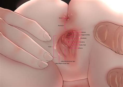 Mochi Circle Rin Source Request 1boy 2girls Anus Bent Over