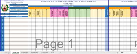 📊registro Auxiliar De EvaluaciÓn Automatizado Secundaria📕2023