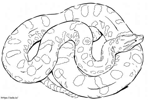 A Green Anaconda Coloring Page
