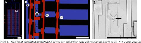Figure 1 From High Throughput Microfluidic Rt Qpcr Of Single Cells Semantic Scholar