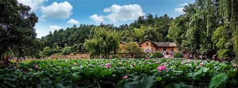 活动风采 2020湖南红色旅游文化节暨湘潭红色文化产业博览会 华声在线