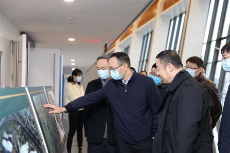 省亚运综合办副主任罗悦明一行来宁波奥体中心督查环境综合整治工作