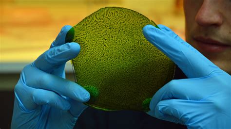 Movie Julian Melchiorri On The First Synthetic Biological Leaf