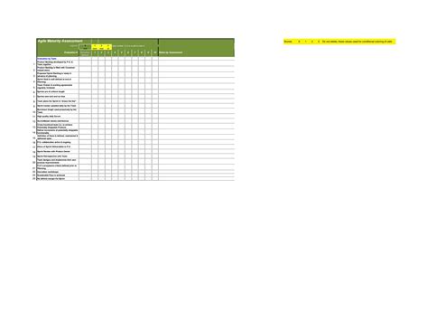 SOLUTION Sample Agilematurityassessment Studypool