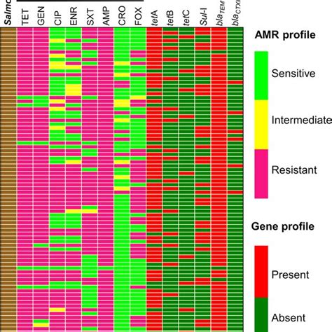 Geographical Distribution Of Salmonella Positive And Negative Broiler