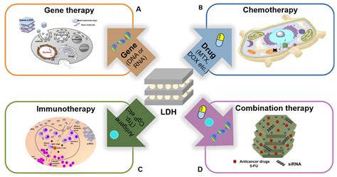 Materials Free Full Text Biofunctional Layered Double Hydroxide