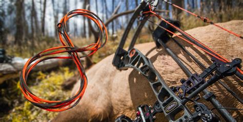 Best Bow String Our Top Selections The Epic Hunters