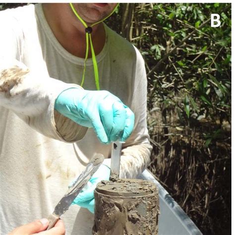 A Sampling Of The Sediment For The Microbial Analyses B Sampling Download Scientific