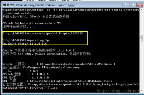 Oracle11g Opatch打补丁oracle11g打补丁opatch Csdn博客