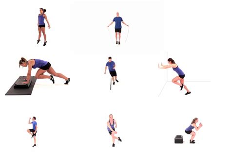 Eccentric Hamstring Exercises Pdf Eoua Blog