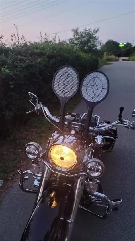 Save Your Teeth Album On Imgur