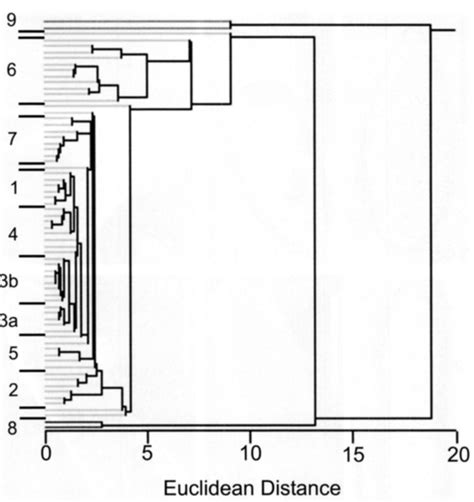 Heirarchical Clustering Tree Of 68 Individuals Representing 28 Taxa Download Scientific Diagram