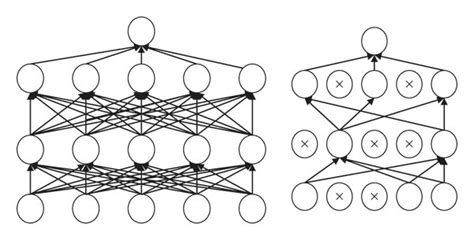 Schematic Diagram Of Neural Network After Dimensionality Reduction Download Scientific Diagram