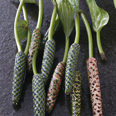 Elies Piperies Rezept