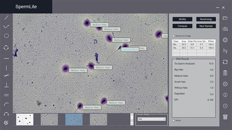 Softwares Enhance Your Research — Explore Software Solutions — Microscope Software Dewinter