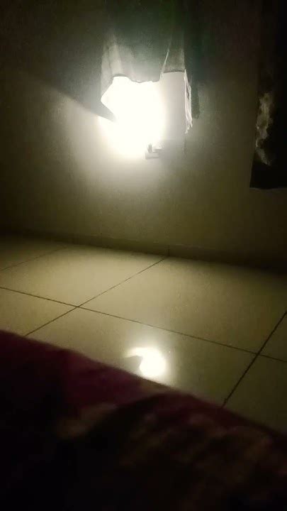 perfect loop funny loop satisfyingloop chill endlessloop