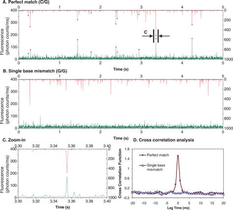 Fluorescence Burst Signals And Cross Correlation Analysis Each Burst Download Scientific