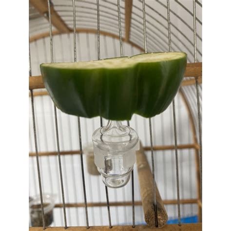 Kit Luxo Para Pássaros Malha Fina Todos Em Vidro Shopee Brasil