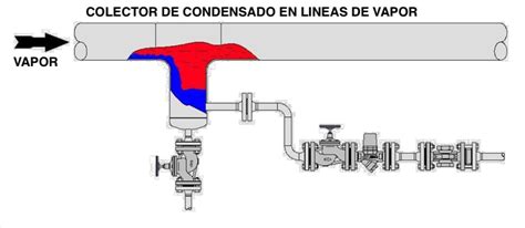 Trampas De Vapor 100 Calidad Europea Optimiza El Vapor