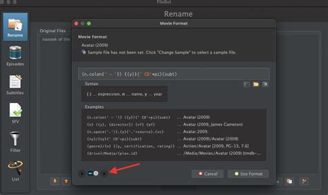 FileBot Rename Your Media Files Like A Pro RapidSeedbox