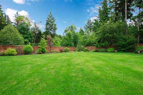 Organic Lawn Care Tips Techeffect