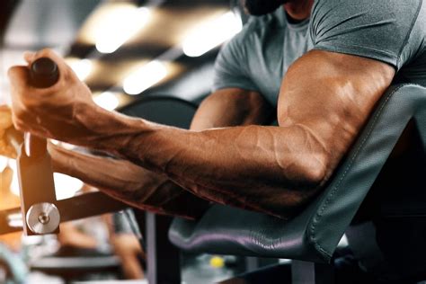 Weider Pro 4950 Shocking Reviews 2019 Does It Really Work Mybeautygym