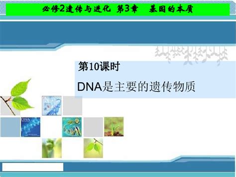 人教版高中生物必修二第三章第一节 Dna是主要的遗传物质（34张ppt） 21世纪教育网