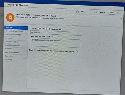 Soalicious Oic Import Replace A Lookup Update An Existing Oic
