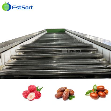 China Fruit Sorter Grader Cherry Tomatoeslycheedatesjujubes Sorting Grading Packing Machine