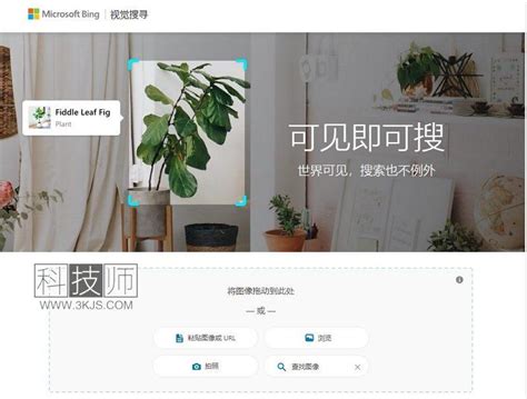 相似图片搜索怎么搜索6个相似图片在线查找工具 科技师