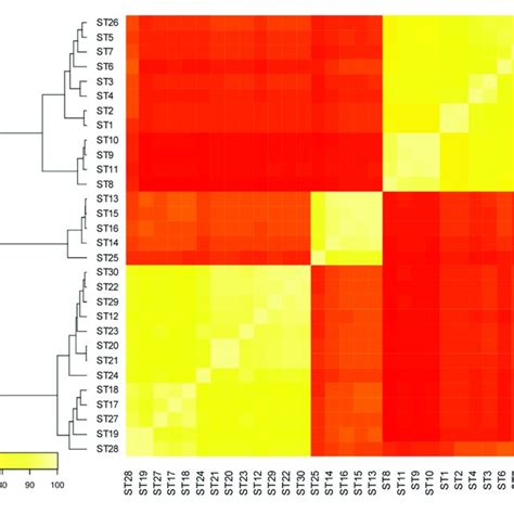 Pairwise Comparison Of The Different Sequence Types Sts The Dna Download Scientific