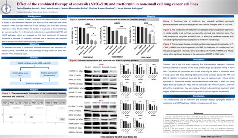 Pdf Abstract 1127 Effect Of The Combined Therapy Of Sotorasib And