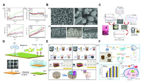 Antibacterial 3d Printed Peek Designs A 1 I Short Term Release Download Scientific