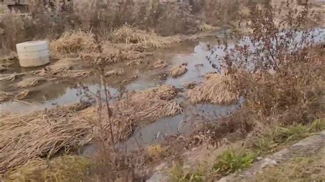 시간돌리기 영상입니다산책길 Youtube