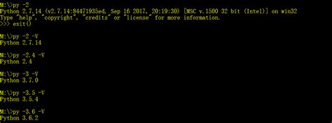 什么是 python launcher？ csdn博客