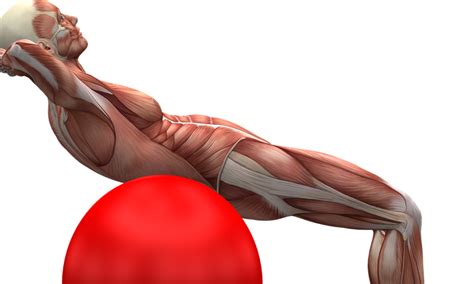 Top 10 Range Of Motion Rom Exercises For Joints Enhance Flexibility