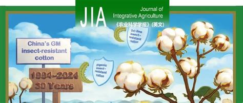 Jia专题｜棉花生物技术育种—南农大棉花遗传与种质创新利用团队：全基因组关联分析挖掘陆地棉苗期根系形态相关性状优异位点和候选基因 Book学术