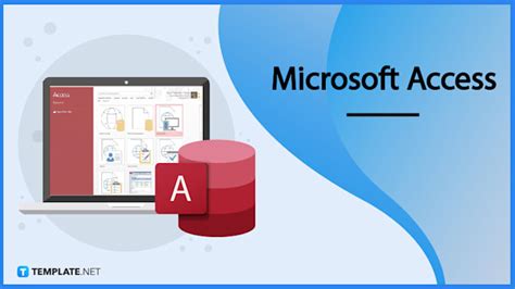 create custom microsoft access database project development by ayesho01