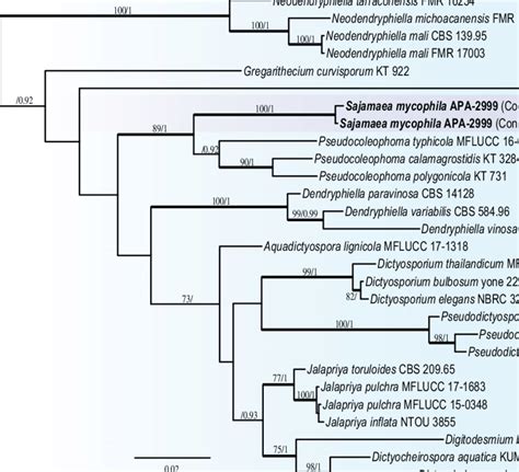 Bayesian Inference Consensus Tree Inferred From Two Locus Dataset